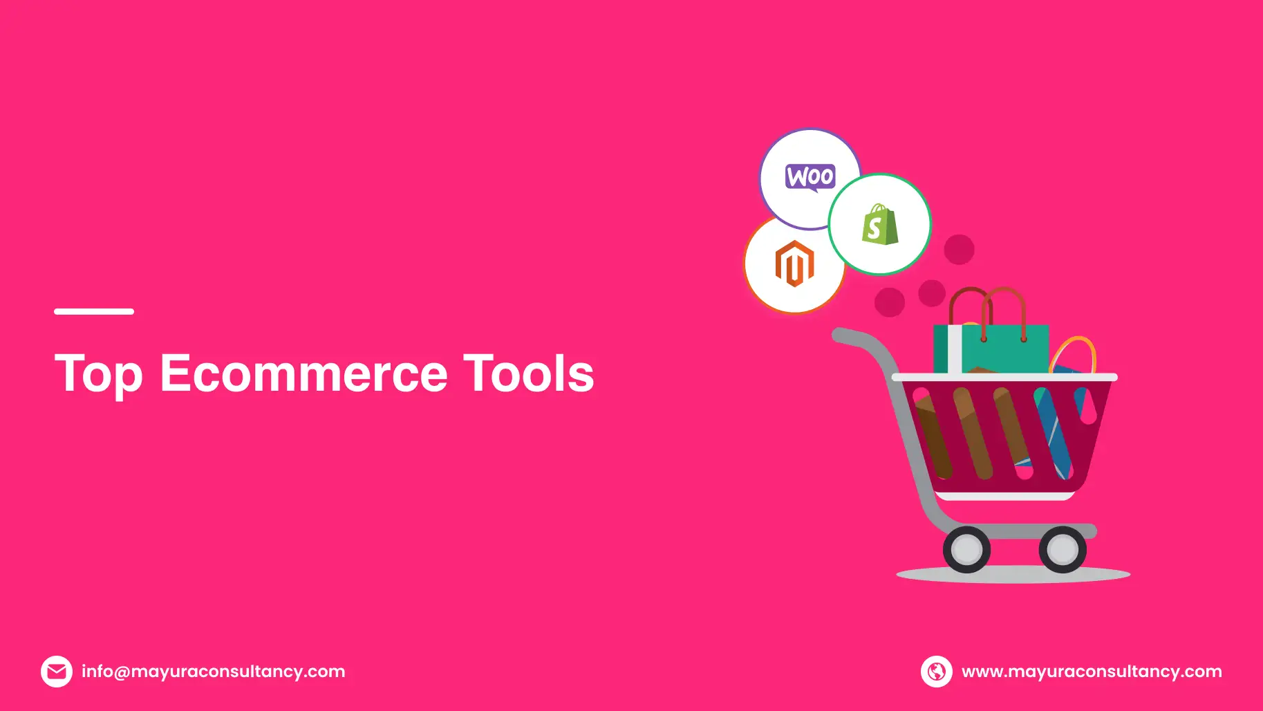 Explore The Top 11 Ecommerce Tools In 2024
